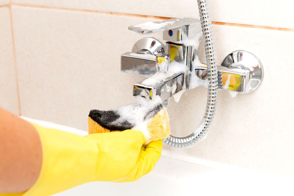 How to prevent pink mold in shower? - House Needy